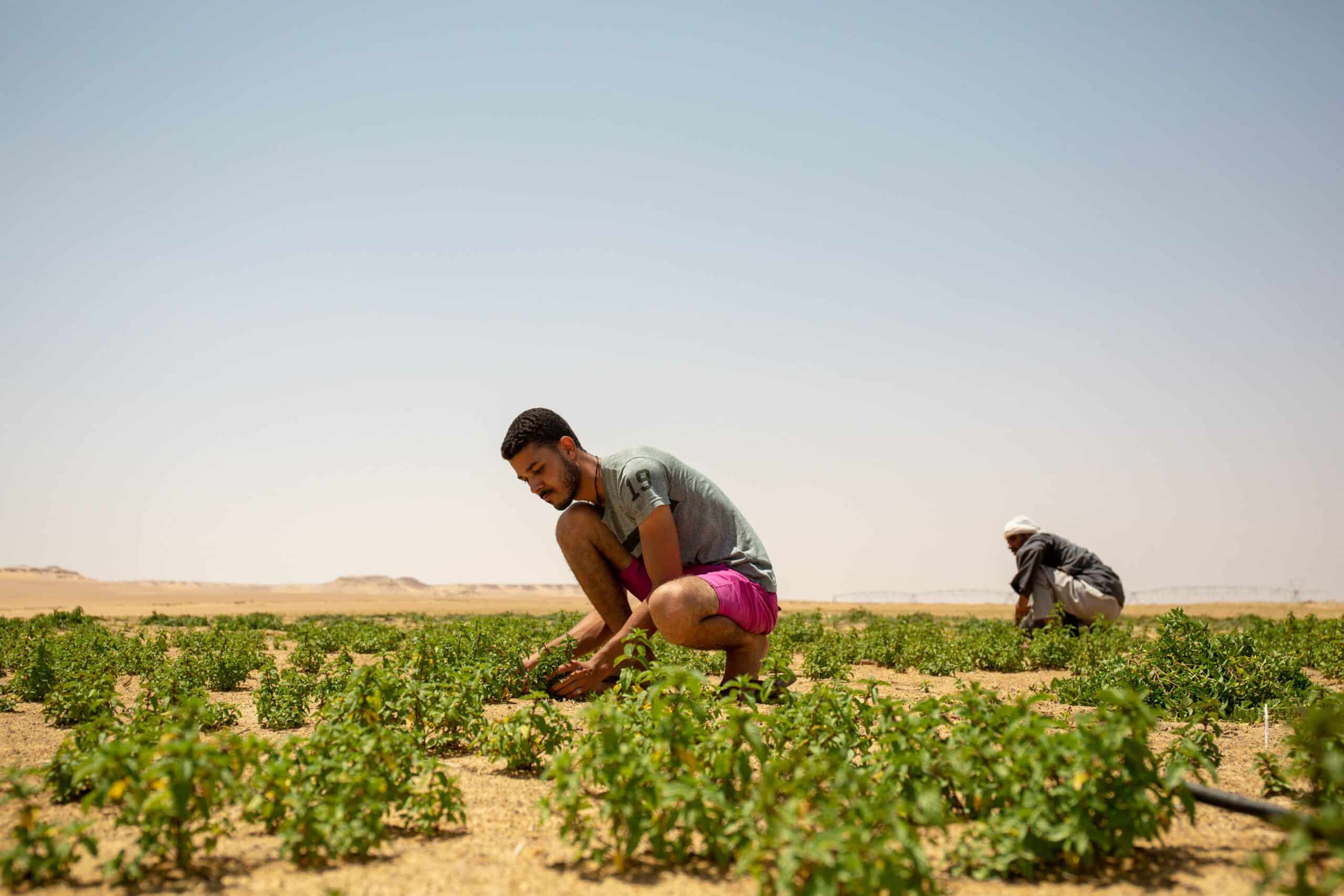 Africa misses out as UNEP recognises 2024 Champions the Earth environmental leaders - Africa ...