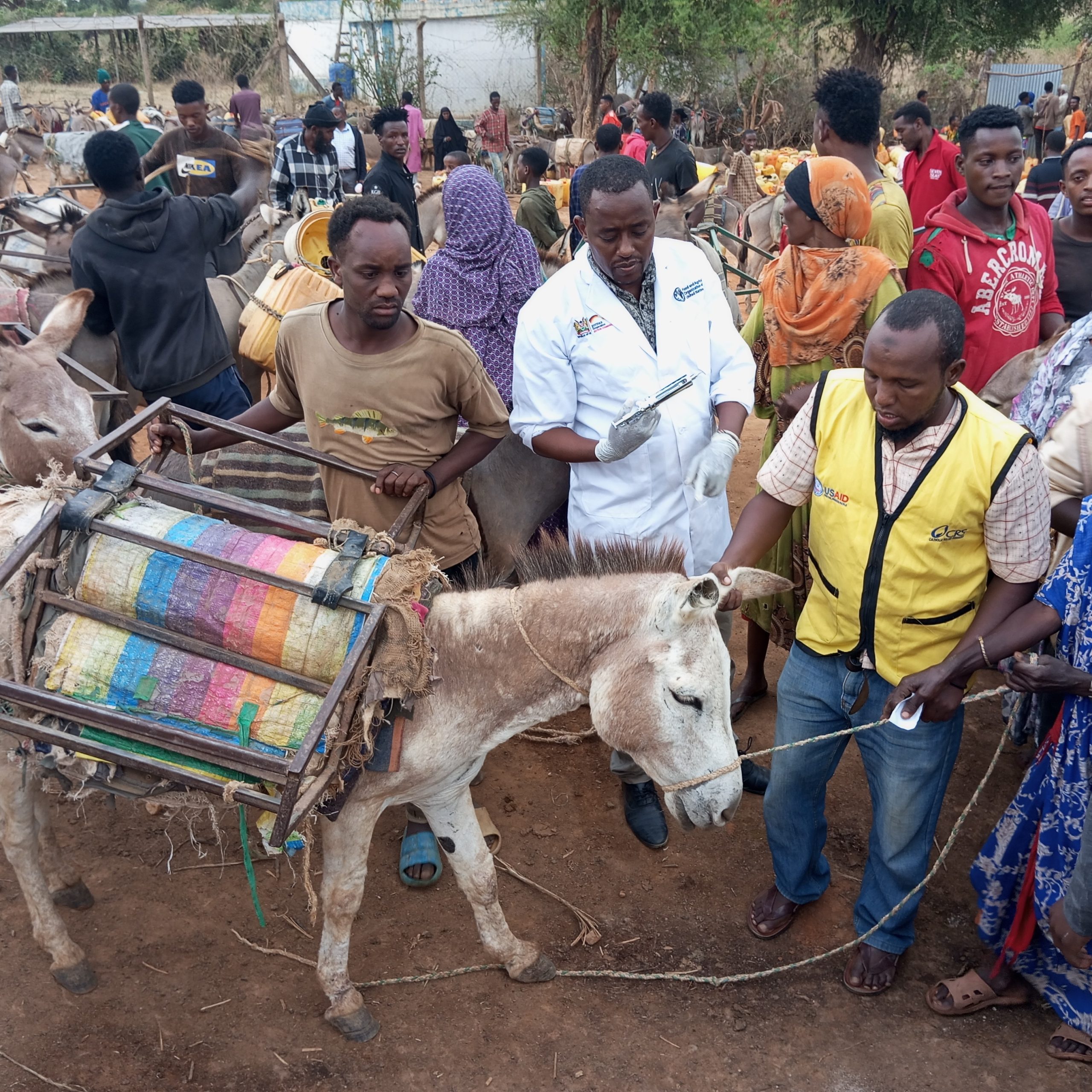 Stakeholders Call for Improved Animal Welfare to Prevent Zoonotic ...