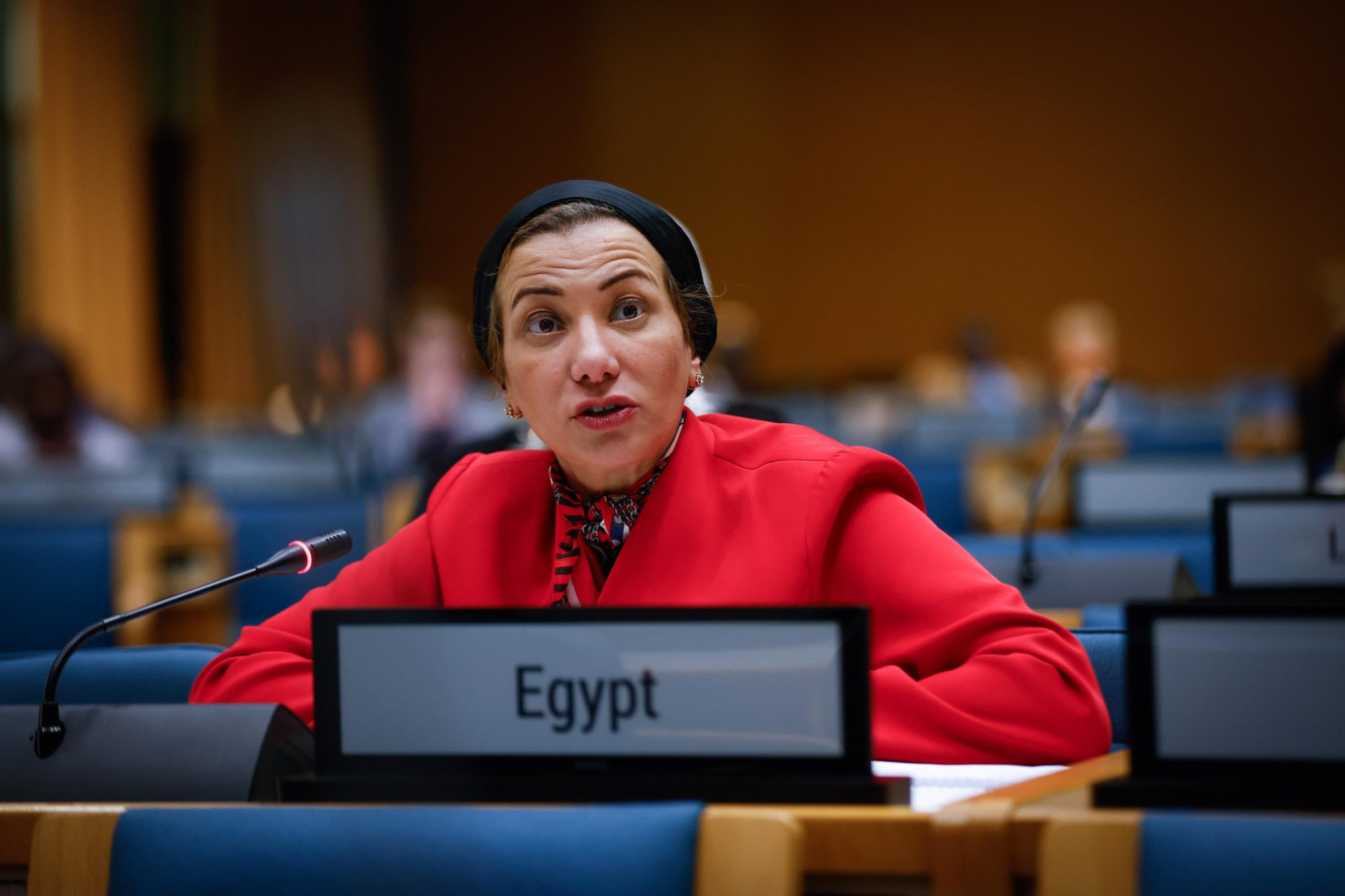 Egyptian Yasmine Fouad takes over at the UNCCD - Africa Science News
